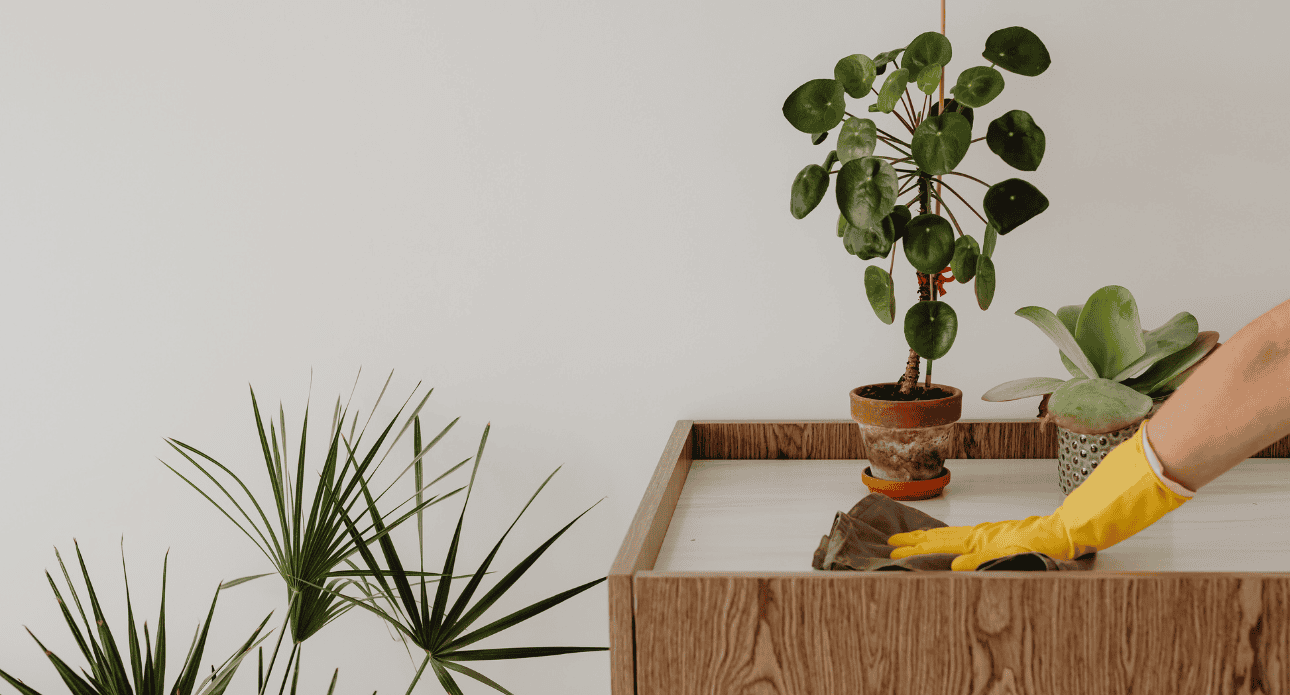 5 easy ways to spring clean your work environment and boost ...