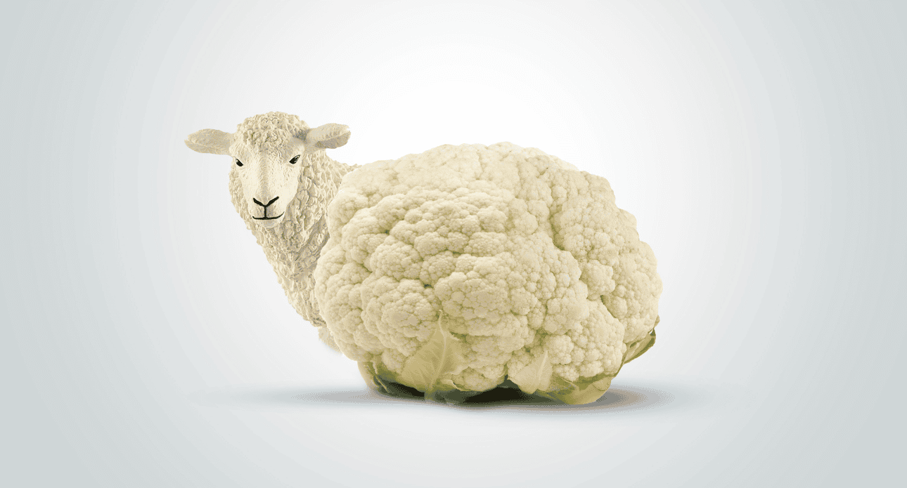What a vegan menu can teach you about the importance of listening to ...
